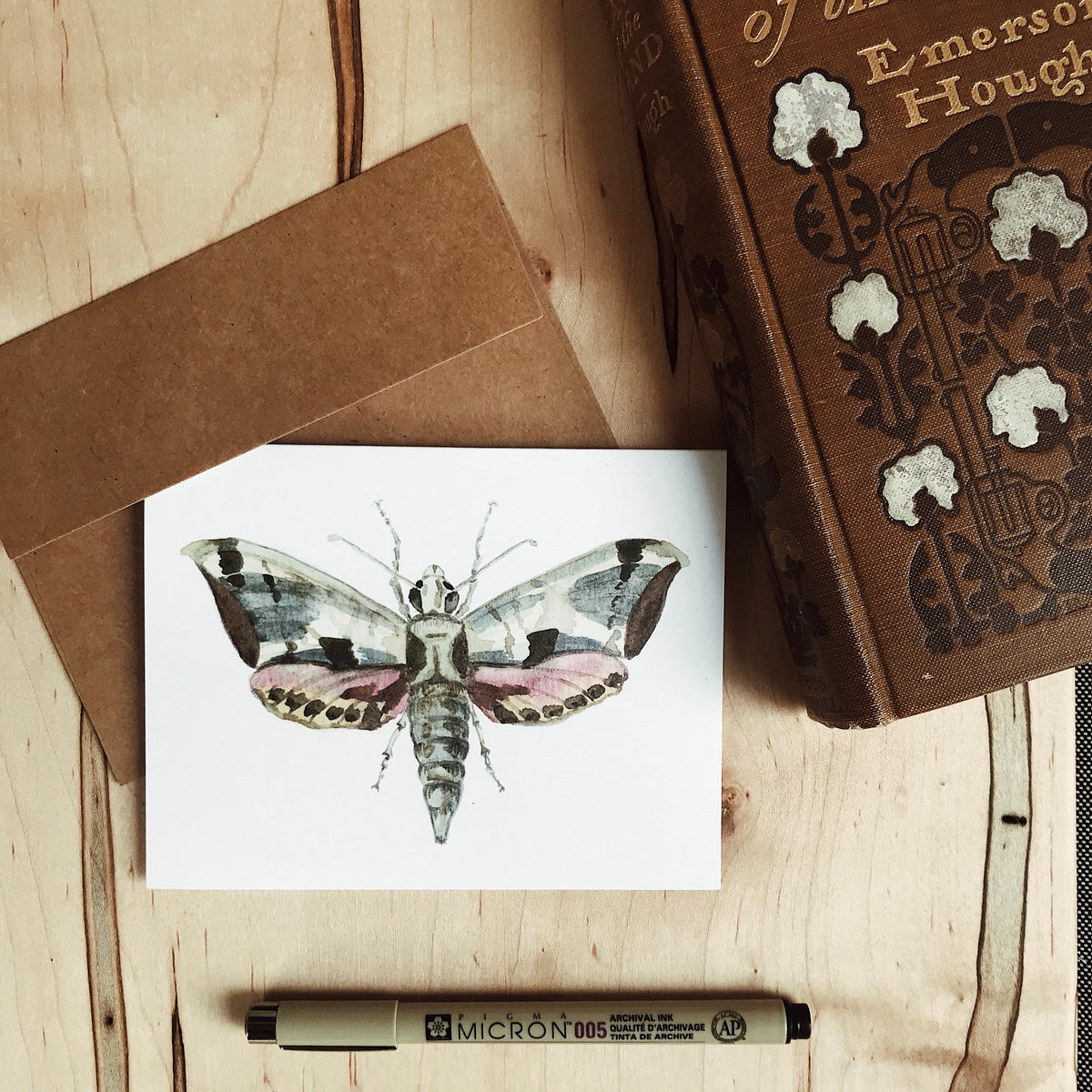 Set of Moth Cards – Truly Kindred